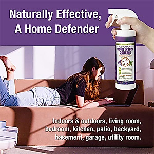 EcoVenger by EcoRaider All Purpose Insect Control 16 OZ, Fleas, Fruit Flies, Gnats, Moths, Roaches, Spiders, Fast Kill, Lasting Prevention, Kill Eggs, Plant Extract Based & Non-Toxic, Child & Pet Safe