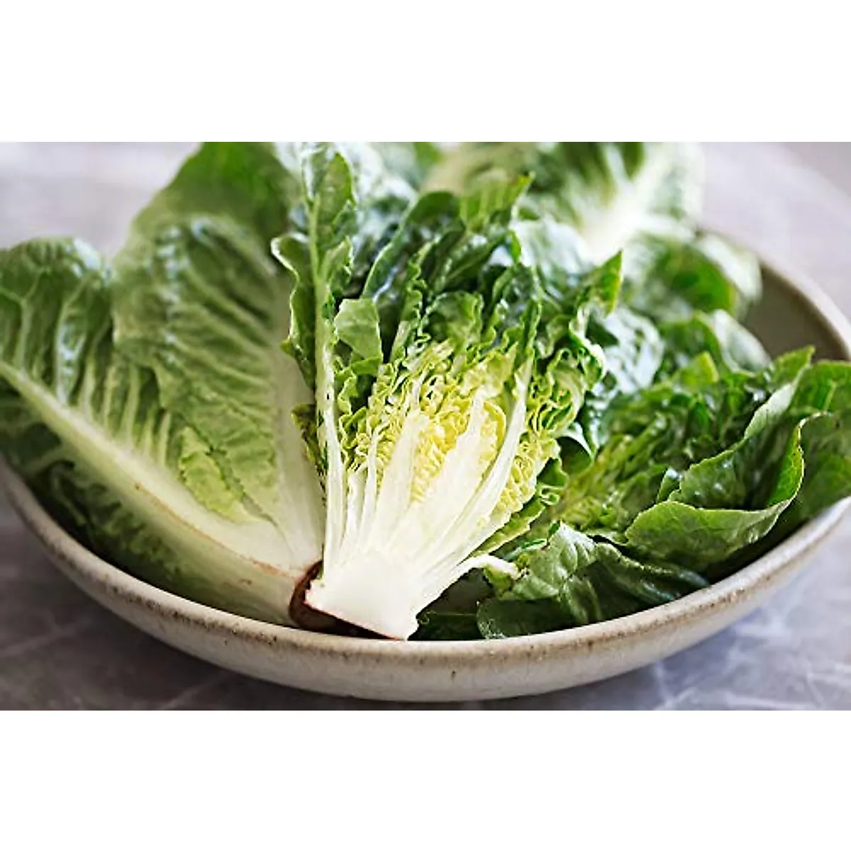 "Little Gem" Butterhead Lettuce Seeds for Planting, 1000+ Heirloom Seeds Per Packet, (Isla's Garden Seeds), Non GMO Seeds, Scientific Name: Lactuca Sativa, Great Home Garden Gift