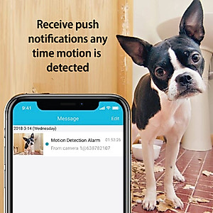 OSI Smart Security Mini Camera Indoor 1080P HD,WiFi Cameras,Home Security Cameras, AI Human Detection,Two-Way Audio,Night Vision,Compatible with Alexa, Google,32GB SD Card Included & Cloud Storage
