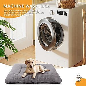 Vetasac Reversible Dog Bed Mat with Plush and Corn Velvet,Soft Warm Pet Cushion, Dual Purpose Washable Sleeping Mattress Bed for Small Medium Large Dog and Cat XB004 (24"x18", Light Grey)