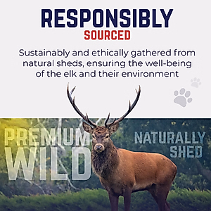 Devil Dog Pet Co. Elk Antlers for Dogs, Large 6"+, 1 Pack, Grade A Long Lasting Chew for Aggressive Chewers, Premium USA Naturally Shed Antler – Healthy, No Odor, Durable Dog Chew