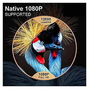 Full HD 1080P Projector TD98 WiFi LED 2K 4K Video Movie Smart TD98W Android Projector PK DLP Home Theater Cinema Beamer