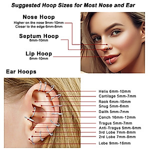 SAILIMUE G23 Titanium CZ Nose Rings Hoop for Women 18G 16G Clicker Hinged Segment Septum Lip Rings Tragus Conch Helix Cartilage Rook Daith Earrings Hoop Piercing Jewelry Diameter 6mm 8mm 10mm Silver