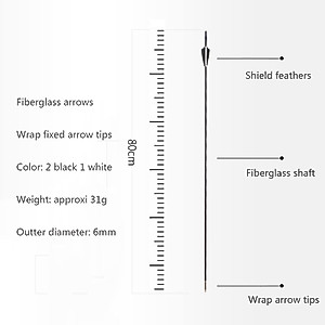 HATAP Archery Fibreglass Arrows 31" Training Arrows Target Practice Fiberglass Arrows Hunting Arrows for Kids Youth or Beginners (6PCS, Black)