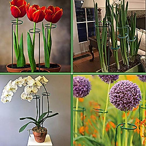 Plant Stake Support - 6 Pack, Garden Single Stem Support Stake Plant Cage Support Rings, Single Stem Plant Support Stakes, Plant Twist Ties, for Flowers Amaryllis Tomatoes Peony Lily Rose (15.9 inch)