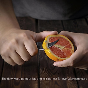 Cavol Knife Kage-C03 Front Flipper Knife,2.52" M390 Stonewashed Blade Pocket Knife,3.39" 6AL4V Titanium Handle,Ceramic Ball Bearing with Liner Lock,Outdoor Folding Knife (Black)