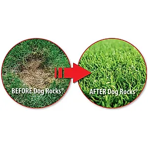 Dog Rocks - Prevent Grass Burn Spots by Pet Urine, Save Your Lawn from Yellow Marks, 3 Bags of 200g Each (6 Month Supply Total)