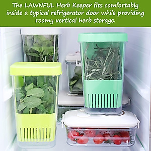 2 Pack Fresh Herb Keeper for Refrigerator, Clear BPA-Free Herb Saver, Storage Container for Cilantro, Parsley, Thyme, Mint & Asparagus, Preserver Keeps Fresh Herbs for 3 Times Longer, Green & Blue