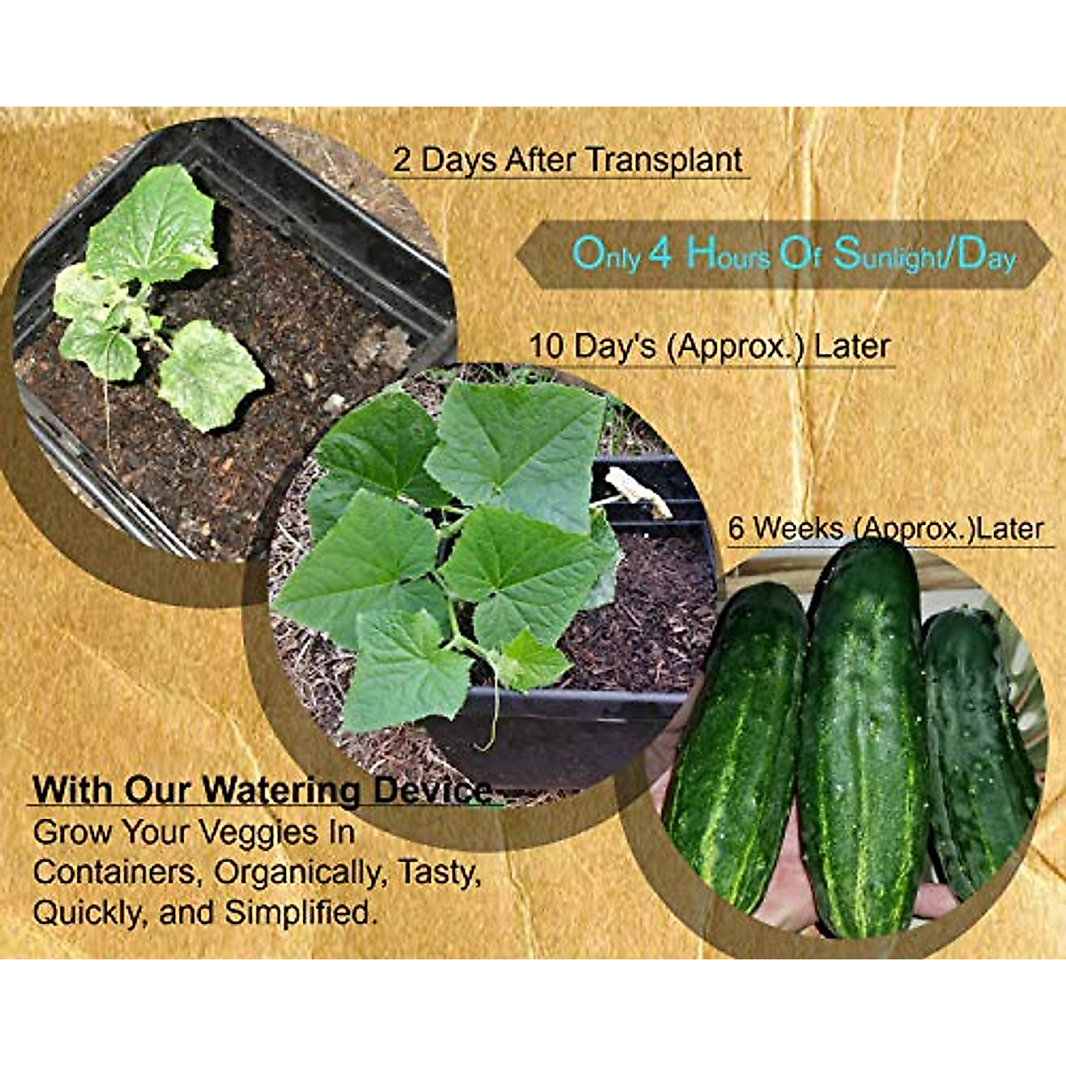 Plant Hydrator [All New Automatic Daily Drip Waterer to Beat This Summer's Heat Container Garden Organic Vegetables Confidently [Fits Grow Bags Self Watering Planters]