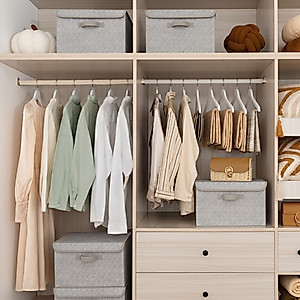 GRANNY SAYS Bundle of 2-Pack Clothing Storage Bins with Lids & 1-Pack Hanging Storage Shelves for Organizing