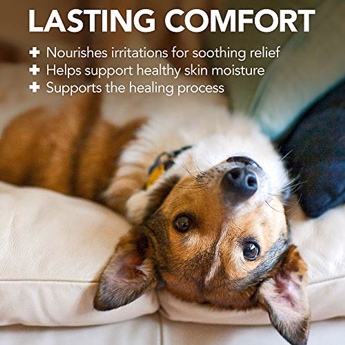 Vet's Best Hot Spot Itch Relief Shampoo for Dogs | Relieves Dog Dry Skin, Rash, Scratching, Licking, Itchy Skin, and Hot Spots | 16 Ounces
