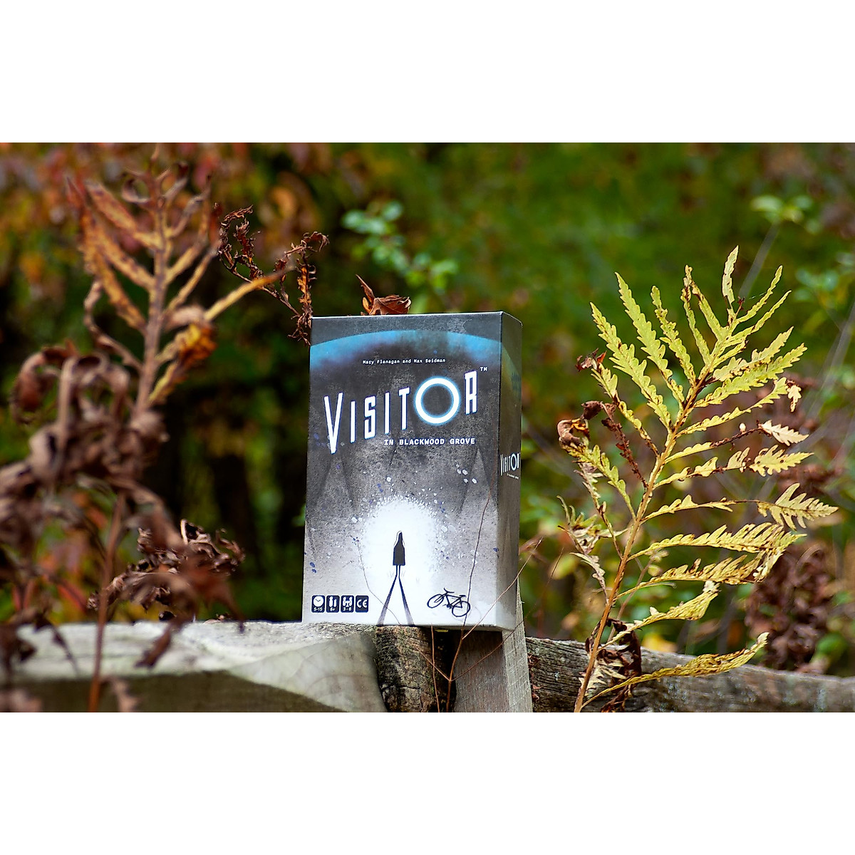 Resonym Visitor in Blackwood Grove, Cooperative Mystery and Deduction Game, Ages 8+, 3 to 6 Players, Games