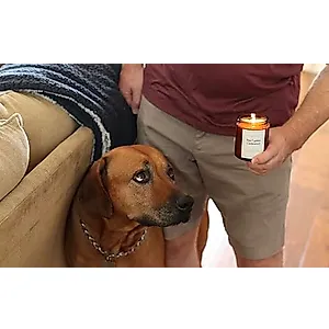 All-Natural Pine, Cypress, Cedarwood Aromatherapy Essential Oil Candle, Safe for People and Pets, Made with Pure Sustainable Organic Vegan Coconut Wax, Allergy Friendly, Non Toxic, Zero Waste