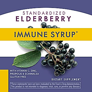Nature's Way Sambucus Elderberry Immune Syrup with Vitamin C, Echinacea, & Zinc, Immune Support*, 4 Fl. Oz. (Packaging May Vary)