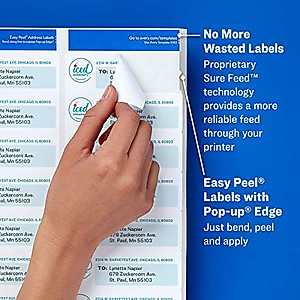 Avery Easy Peel Address Labels for Laser Printers, 1 Inch x 2.625 Inch, White, Pack of 750 (5260)