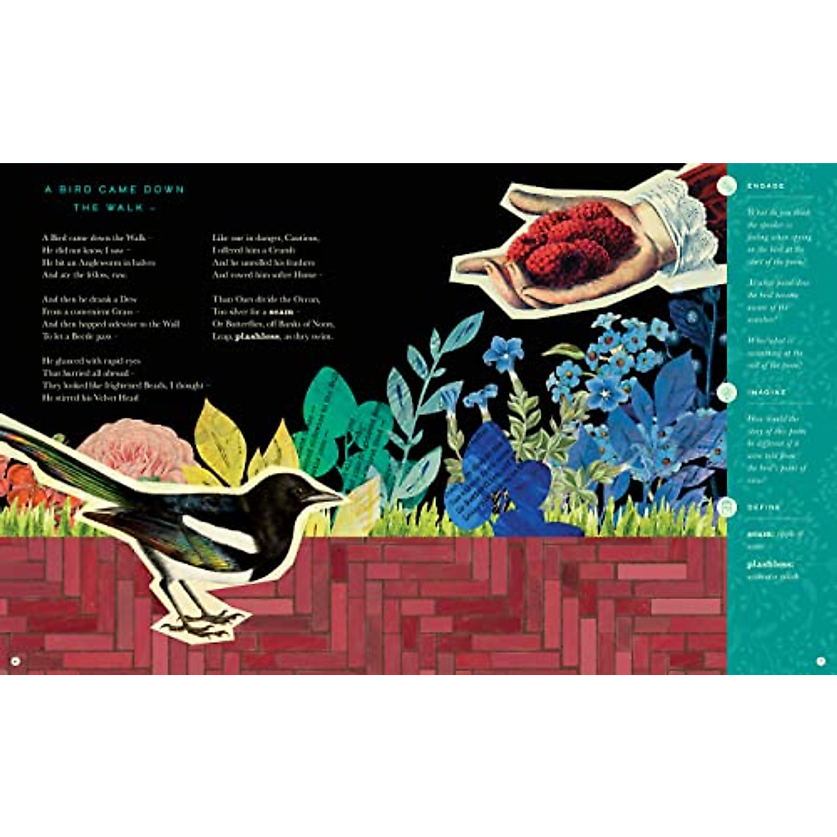 The Illustrated Emily Dickinson: 25 Essential Poems (The Illustrated Poets Collection, 1)