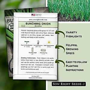 Sow Right Seeds - Heshiko Bunching Japanese Green Onion Seeds for Planting - Non-GMO Heirloom Seeds with Instructions to Plant and Grow a Kitchen Garden, Indoor or Outdoor; Great Gardening Gift