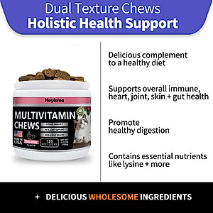 HEYISME Lysine Supplement for Cats, Cat Treats for Sneezing and Runny Nose, Cat Cold, Cat Immune Support, Eye Function, and Respiratory Health, L-Lysine Cat Vitamins for Cats (Salmon, 120 Chews)