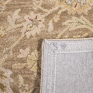 SAFAVIEH Anatolia Collection Accent Rug - 2' x 3', Tan & Ivory, Handmade Traditional Oriental Wool, Ideal for High Traffic Areas in Entryway, Living Room, Bedroom (AN522B)