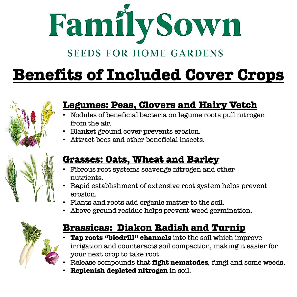 Cover Crops by Family Sown - 10 Variety Mix of Cover Crop Seeds Ideal for Home Gardens | Non-GMO, Open Pollinated, Made in The USA (1 LB)