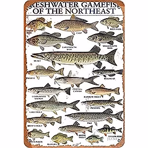 For Tin Signs Freshwater Gamefish of The Northeast Retro Metal Sign Vintage Aluminum Sign for Home Coffee Wall Decor 8x12 Inch