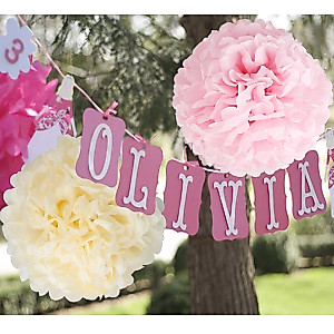 25PCS Tissue Paper Pom Poms Pink Paper Flowers DIY Paper Craft Decorations for Baby Shower Party Decorations, Birthday Party, Wedding Decor, Valentines Day, Bridal Shower Decorations-Pink mix