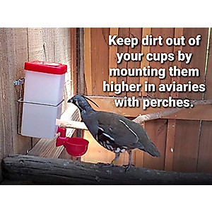 Wire Bracket for Small Animal Drinking Bottle (32 oz/1 Liter)