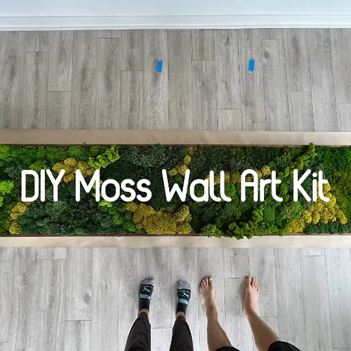 prefleur Preserved Reindeer Craft Moss Natural Green DIY Kit Terrariums Gardenning Art Wall Florist Decor Easter Table Decor Wedding Decor (3 OZ)(Green-02)