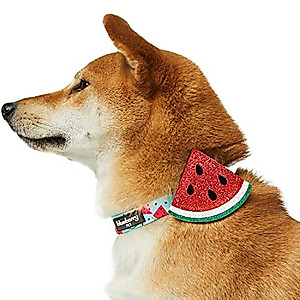 Blueberry Pet 2022 New Summer Sparkle Dog Collar, Adjustable Medium Size, Neck 14.5"-20", Zesty Fruit Watermelon Blue, Pet Collar with Detachable Accessory