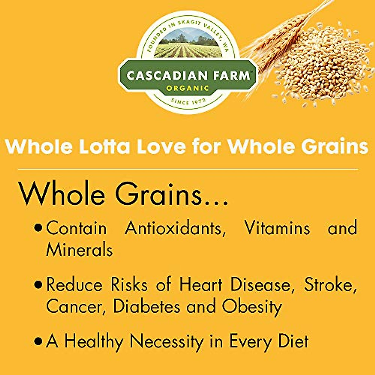 Organic Hearty Morning Cereal 14.60 Ounces (Case of 10)