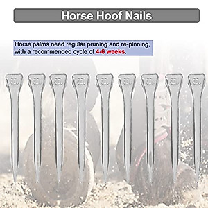 KUIDAMOS 250PCS Horseshoe Nails, Horseshoes Equipment Equestrian Sport Equipment Horse Training Supplies Tool 2.1 Inch E6 Hoof Nails for Horse Race