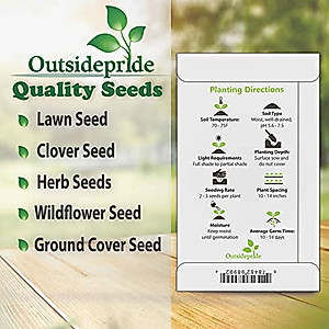 Outsidepride Coleus Wizard Velvet Red Indoor or Outdoor House or Container Plant Seed - 100 Seeds