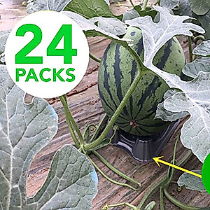 Plastic Melon Support Cradle for Watermelon-Pumpkin-Squash - Holds up to 20 lbs(24 PCS)