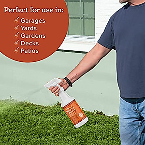 Vine Homecare - Squirrel Control Spray - Natural, Non-Toxic Squirrel Repellent - Quick, Easy Pest Control - Safe for Use Around Children and Pets - Made with Essential Oils - 32 OZ