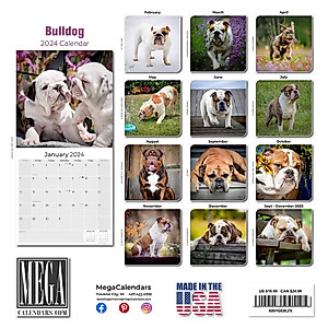 2023 2024 Bulldog Calendar - Dog Breed Monthly Wall Calendar - 12 x 24 Open - Thick No-Bleed Paper - Giftable - Academic Teacher's Planner Calendar Organizing & Planning - Made in USA