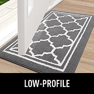 Buganda Indoor Door Mat, Resist Dirt and Absorbent Entrance Mat, Anti-Slip, Low Profile Inside Floor Mat Doormat for Entryway (32x20 inches, Grey)