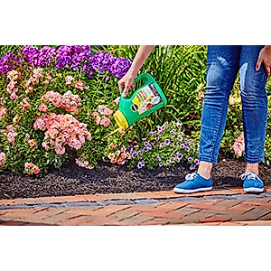 Miracle-Gro Shake 'N Feed All Purpose Plant Food, Plant Fertilizer, 4.5 lbs. (6-Pack)