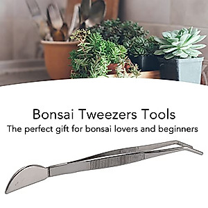 AUHX Bonsai Tweezers Tools, Bonsai Tweezers Wearresistant Stainless Steel Ergonomic Handle for Loosening Soil (Bent)
