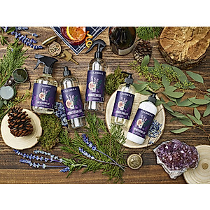 Caldrea Multi-surface CounterTop Spray Cleaner, Made With Vegetable Protein Extract, Lavendar Cedar Leaf Scent, 16 Oz