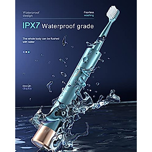 USB Rechargeable Sonic Electric Toothbrush for Adults, Powered Motor High Vibration Teeth & Gum Care, Soft Dupont Brush Heads, 2 Minutes Timer 5 Modes, Green