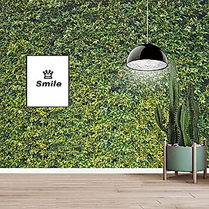 7 * 5Ft 3D Green Leaves Photography Backdrops Party Decoration Photo Background DIY Grass Backdrop Wall for Pictures Photo BoothHome Decorations