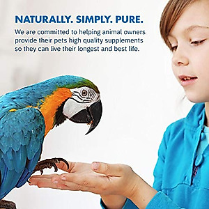 HealthyGut™ Avian Probiotics Dietary Supplement for Parrots, All-Natural Digestive System Formula (120 Servings)