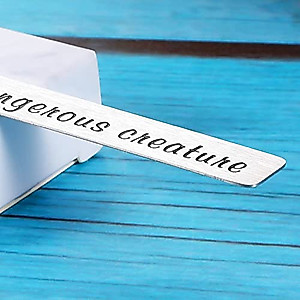 Christmas Bookmarks for Women Friend Book Lover Inspirational Birthday Valentines Day Gifts for Teen Girls Sister Teacher Boss Lady Her Bookworms A Well Read Woman is a Dangerous Creature Bookmarker