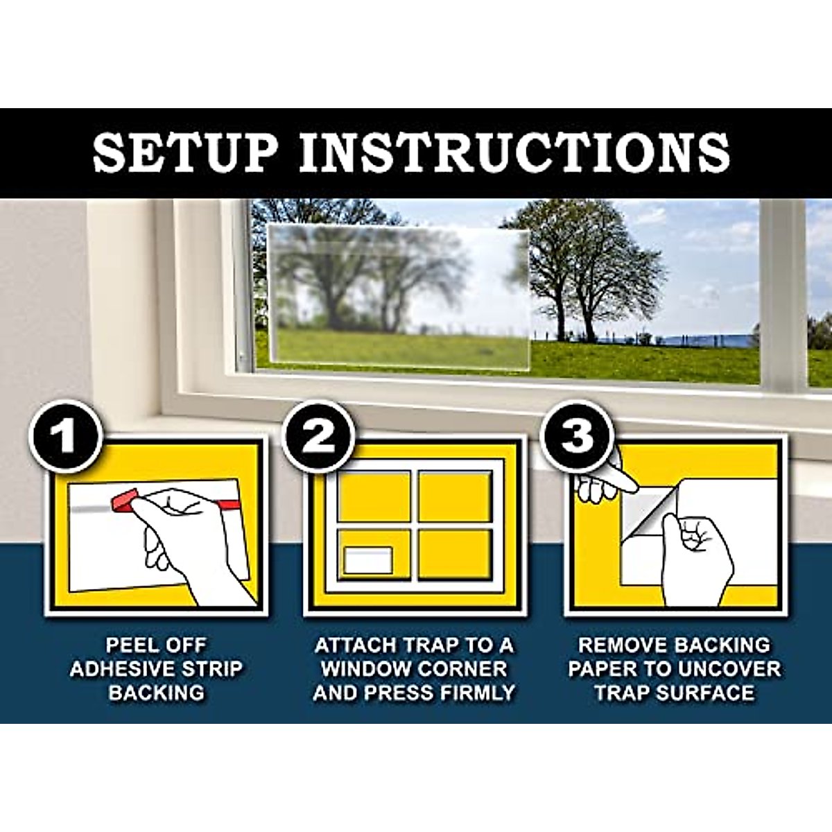 MaxGuard Window Fly Traps (24 XL Traps) Catch & Kill Houseflies, Flying Insects & Bugs. Non-Toxic Sticky Glue Traps Fly Killer Clear Strip Insect Catcher Safe No Zapping with Zapper |