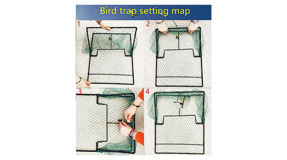 DSQSTMR Pigeon Bird Trap - 2 Pack for Effective Hunting