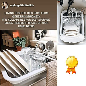 Dish Rack | Easy to Use | Collapsible | Compact & Portable Multi-Functional Dish & Vegetable Washing Basket