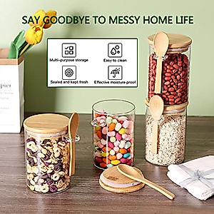 CZFWin Glass Jars with Bamboo Lids and Wooden Spoons Set of 4, Coffee Tea Sugar Container Set for Loose Tea Canister Storage, Overnight Oats Containers with Scoop for Seasoning, Coffee, Yogurt