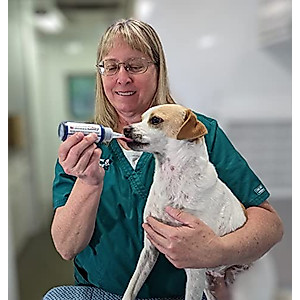 Fetch A Vet Activated Charcoal Gel 60ml EZ Dose Bottle (1-Pack) Pet Emergency First Aid Poison Antidote Treatment