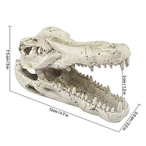 Alligator Reptile Amphibian Skull Habitat Hide – Premium Non-Toxic Resin for Aquariums & Terrariums – Large Size