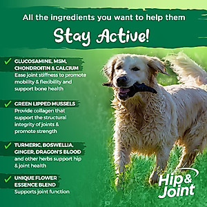 Vital Planet - Hip and Joint Support Powder Supplement for Dogs, with Glucosamine, Turmeric, Boswellia, MSM, and Collagen from Green-Lipped Mussel - Beef Flavored Powder, 60 Scoops, 111 Grams